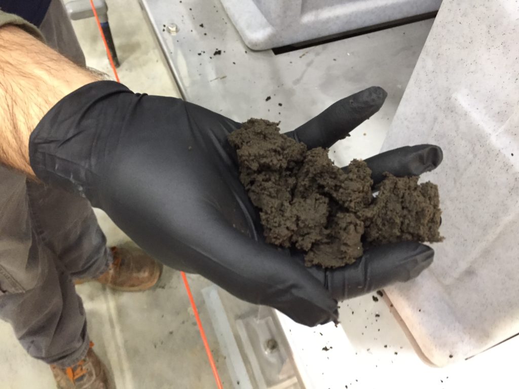 What If the Sludge Pipeline Breaks? - Capital Daily