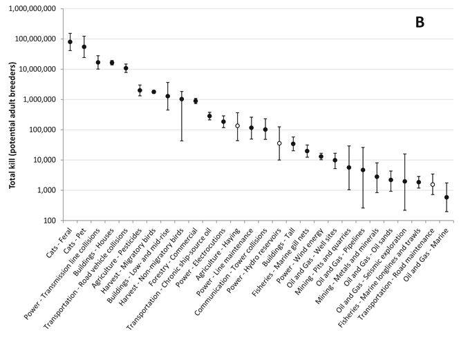 Victoria's Birds Are Disappearing. Here's Why. - Capital Daily