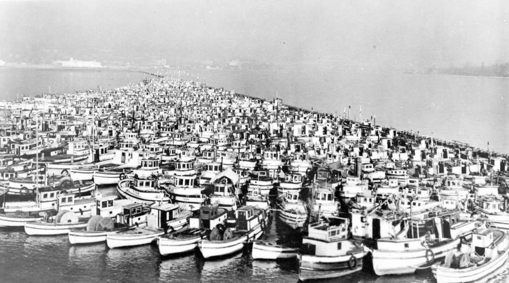 Blackouts and Gas Attack Scares: Victoria During the Second World War ...