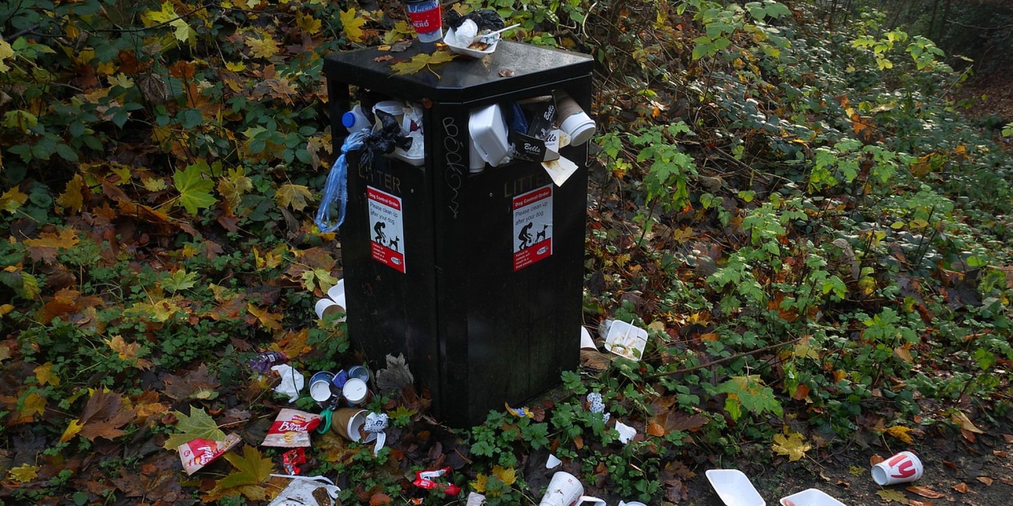 Shift to Takeout Has Resulted in "Overflowing" Garbage Cans - Capital Daily