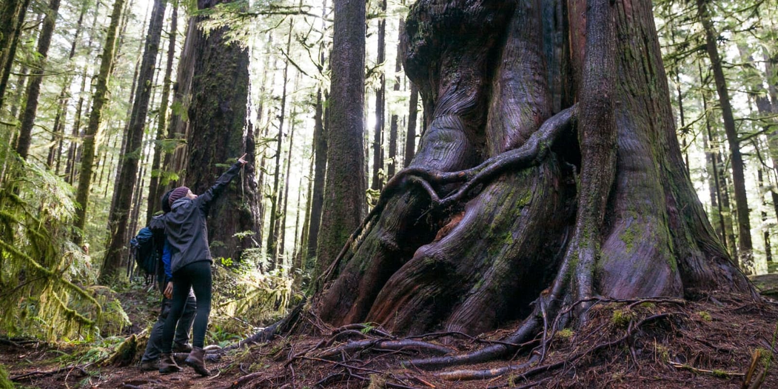 Time for a staycation: Our guide to Vancouver Island’s hidden gems ...