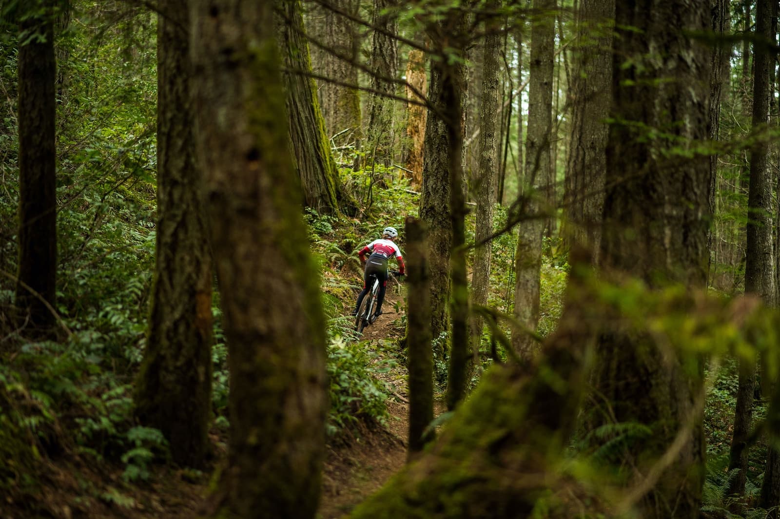 Bikes, bears, and biologists: can mountain biking coexist with nature ...