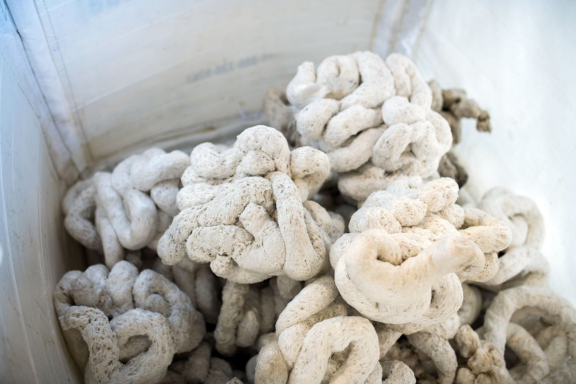 Inside Victoria's recycling system - Capital Daily