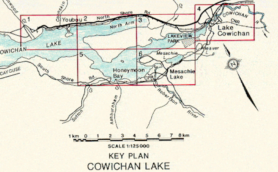 How can you find out if you live in a Vancouver Island high-risk flood ...