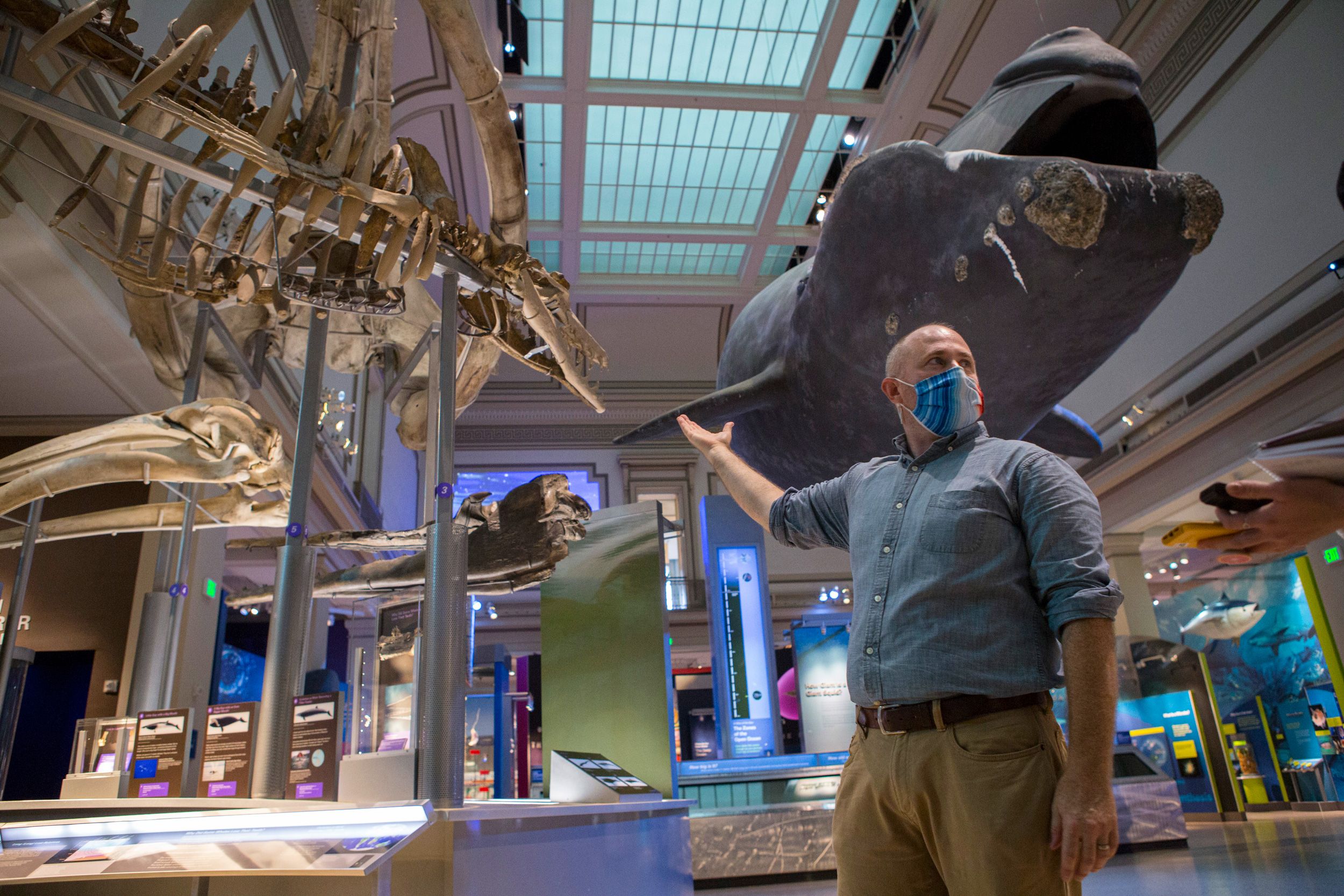 From Sooke to the Smithsonian: how a fossil found in a local cliff face ...