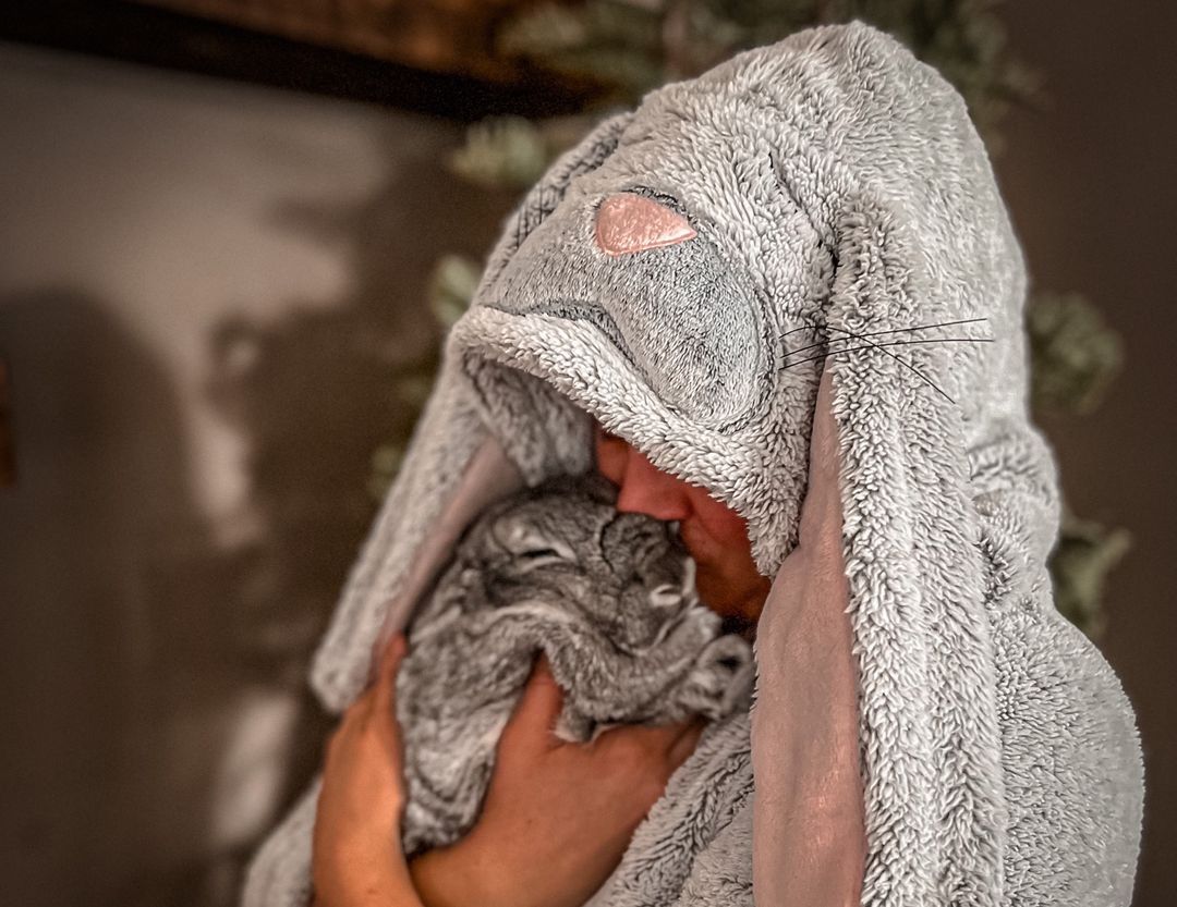 How Victoria Became One of Canada’s Most Dangerous Places to Be a Bird ...