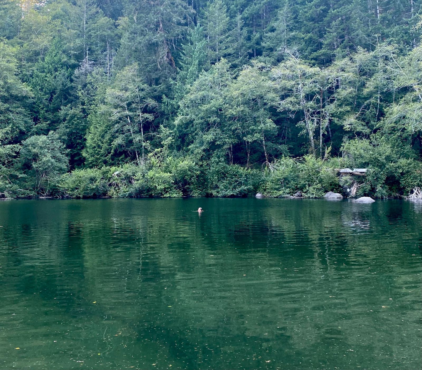 Time for a staycation: Our guide to Vancouver Island’s hidden gems ...