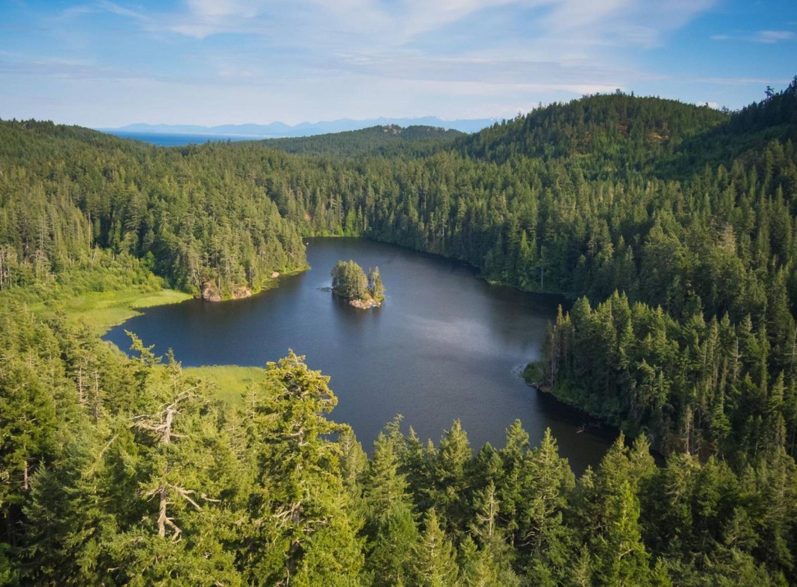 Invasive species, biosolids, and algae blooms: how are Victoria’s lakes ...