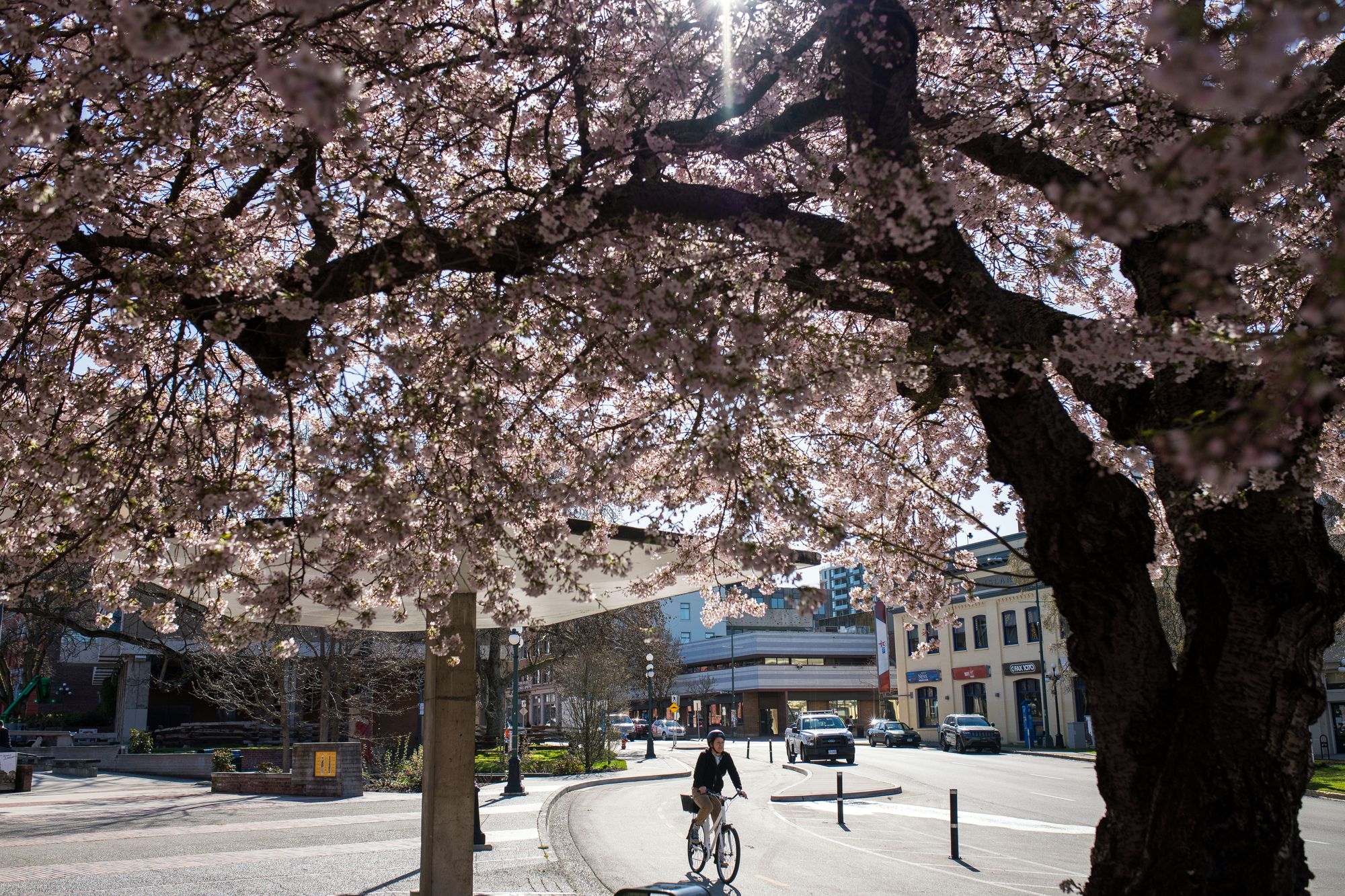 Everything you need to know about Greater Victoria’s cycling network ...
