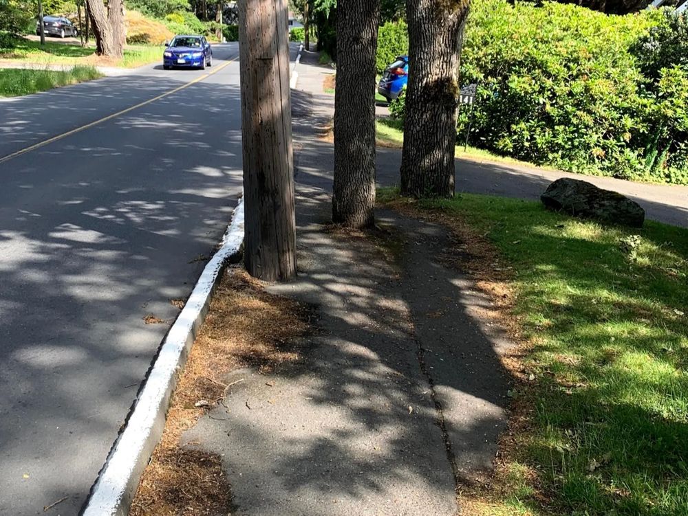 These are the worst sidewalks in Greater Victoria, survey says ...