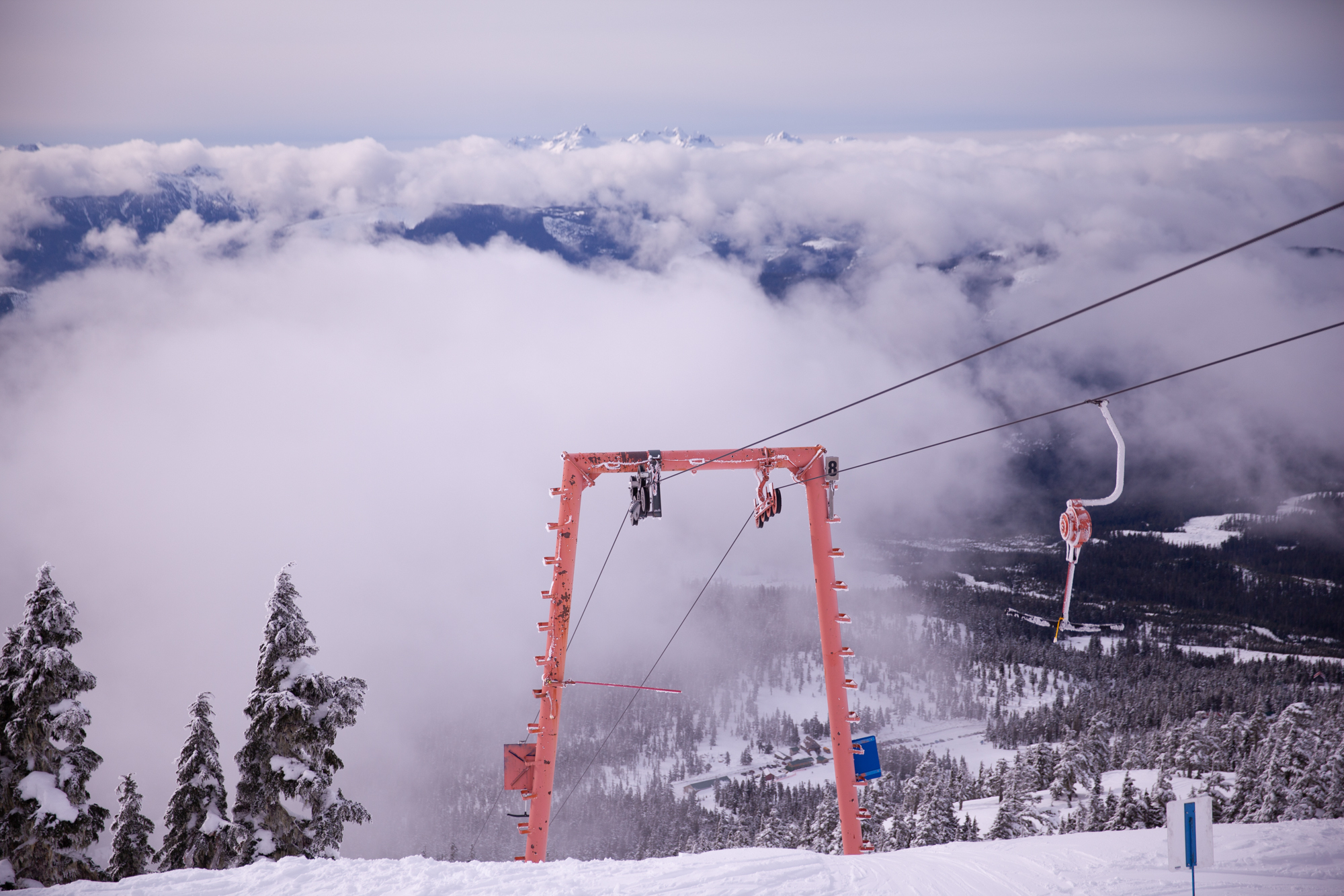 Mount Cain was built by loggers—but now logging has come to the ...