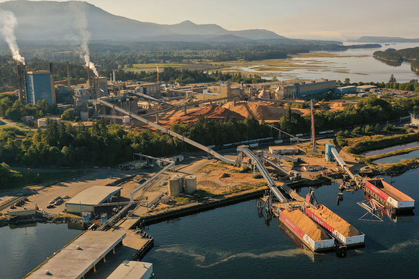 The Price of Paper - Capital Daily