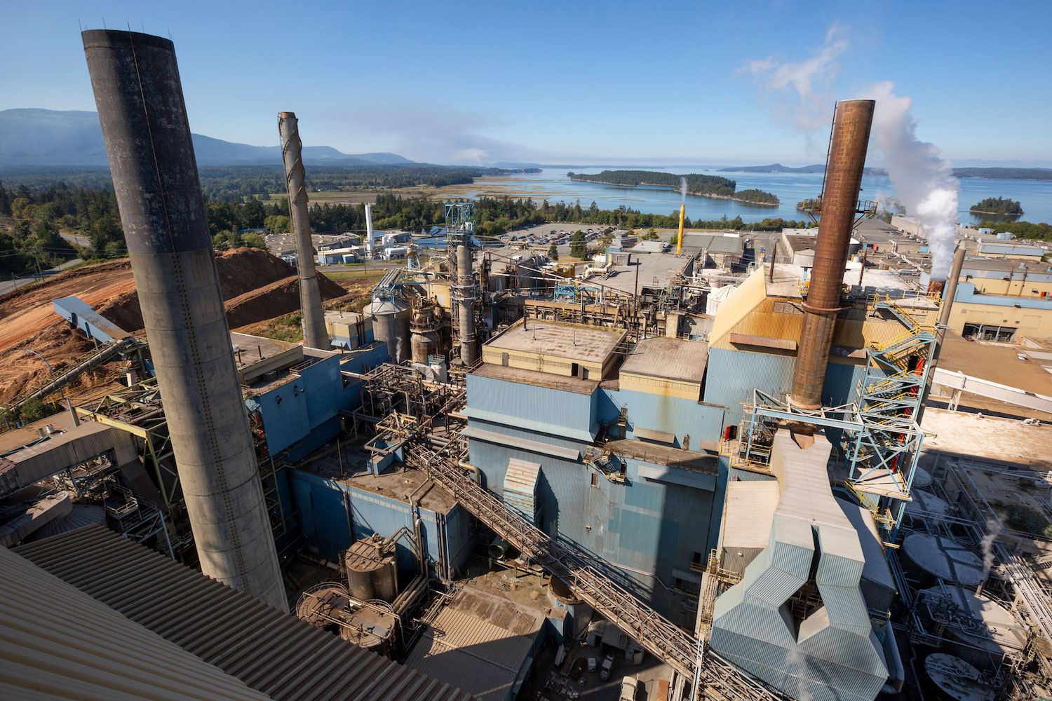 The Price of Paper - Capital Daily