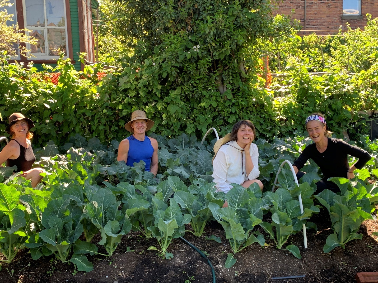 Century-old inner-city farm opens March 22 amid growth, change and new ...