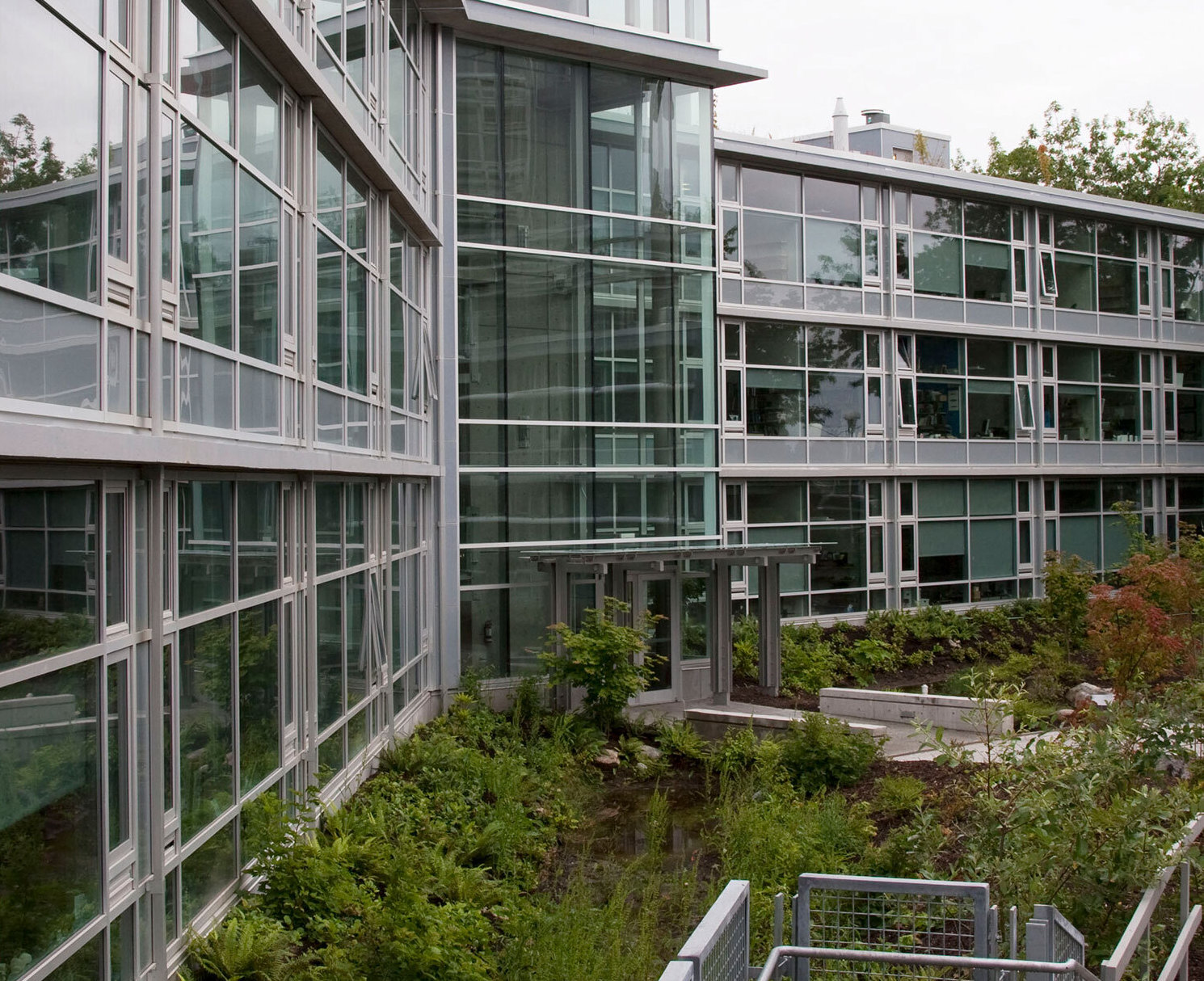 Victoria getting the green light for fewer barriers to green roofs ...