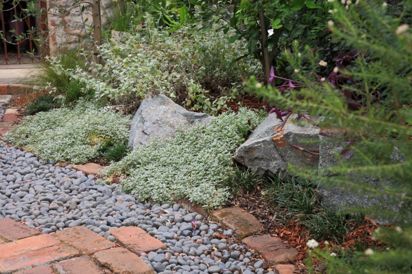A RUSTIC COURTYARD IN GLEBE Inner West Landscape architecture | CALDesign