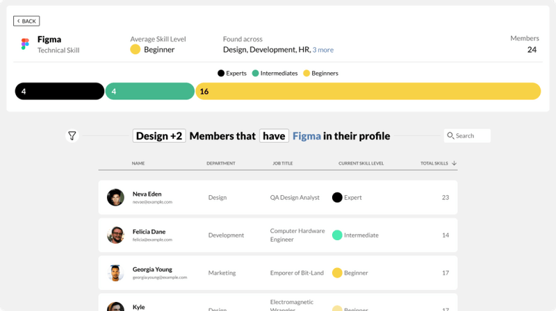 Build a modern interactive team skill matrix