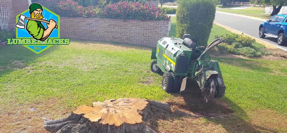 🌳 Mulch Perth | Lumberjacks WA | Tree Services Perth