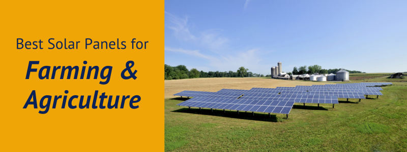 Best Solar Panels for Farming and Agriculture