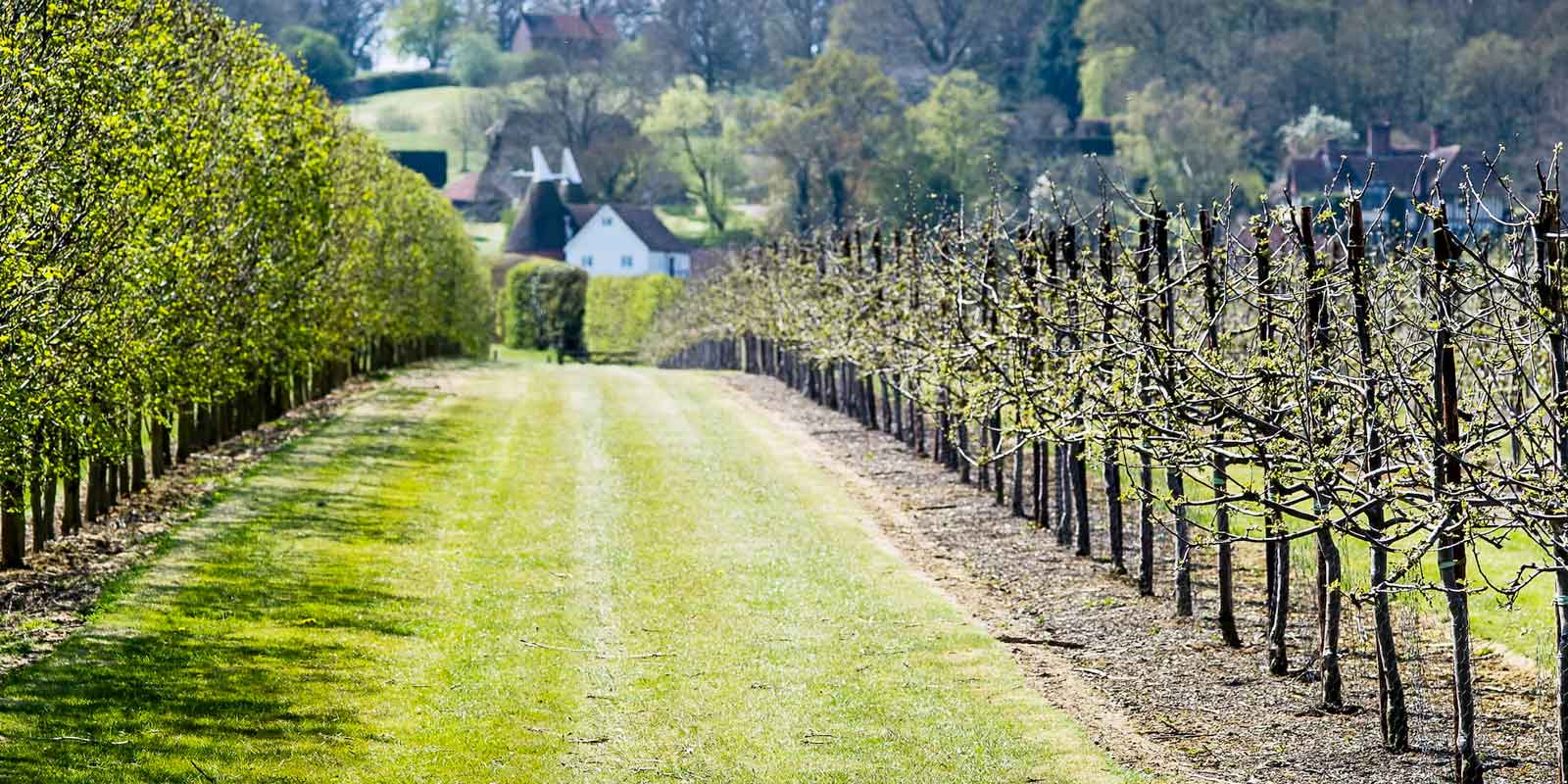 Hush Heath Luxury Train Trip | LuxuryTrainTickets.com