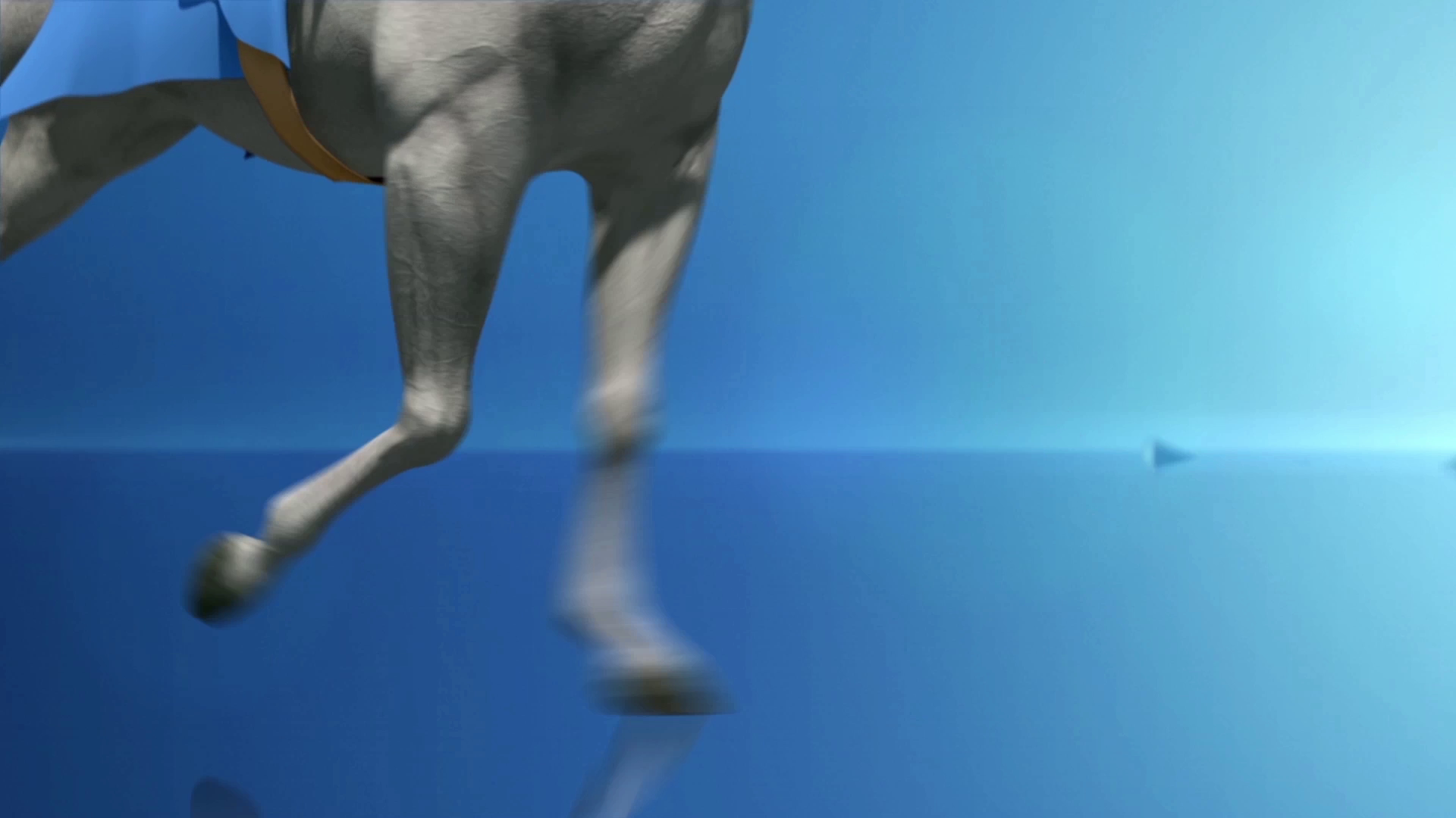 3D_06 - Standard Chartered Race Day