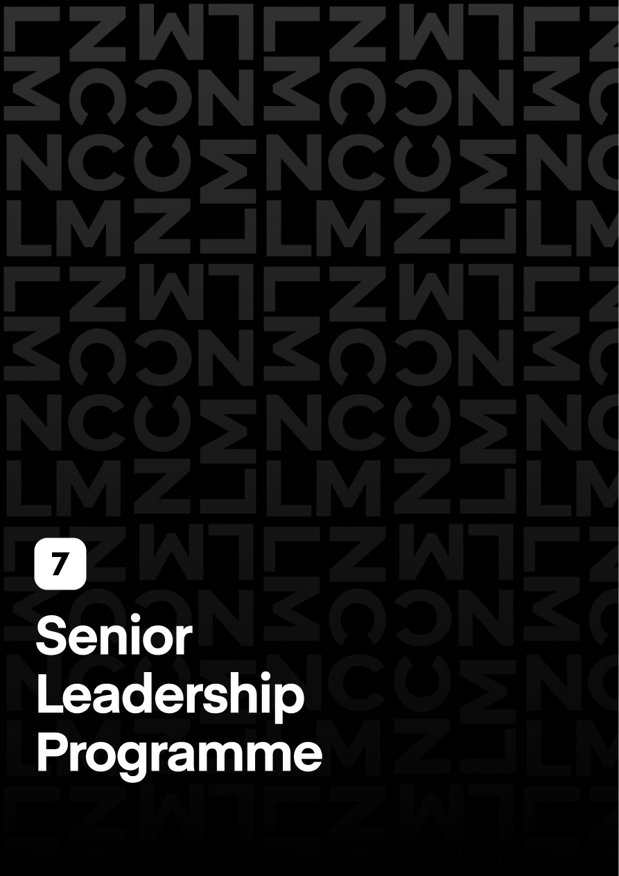Senior Leadership Programme