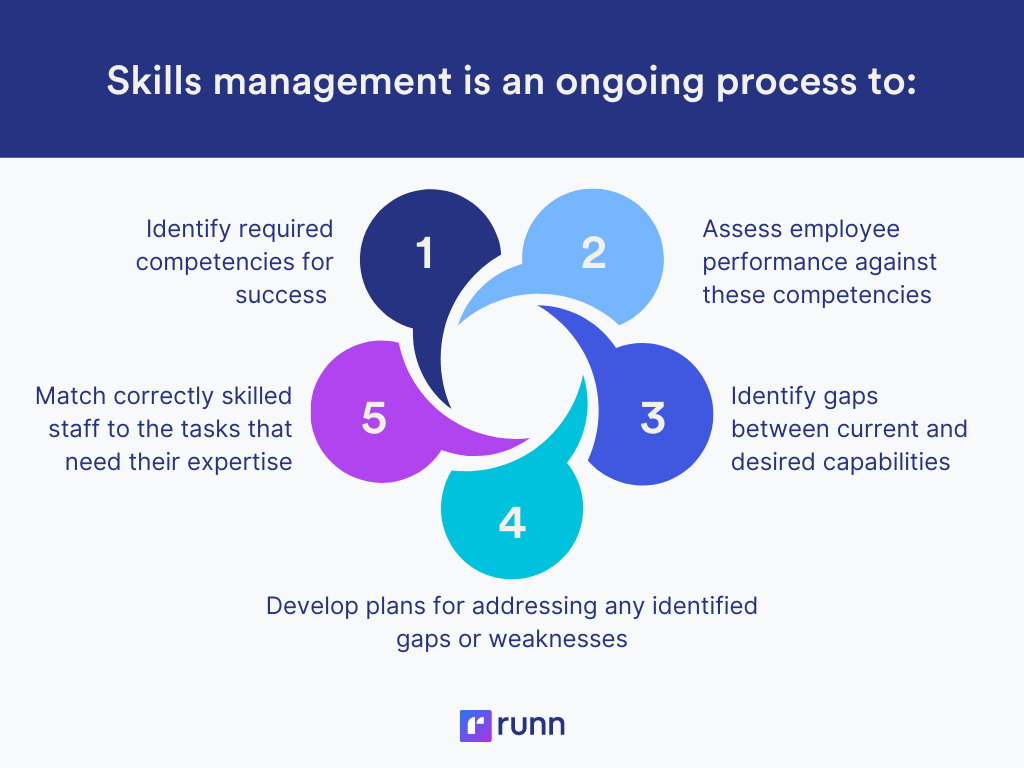 The Beginner's Guide to Skills Management | Runn