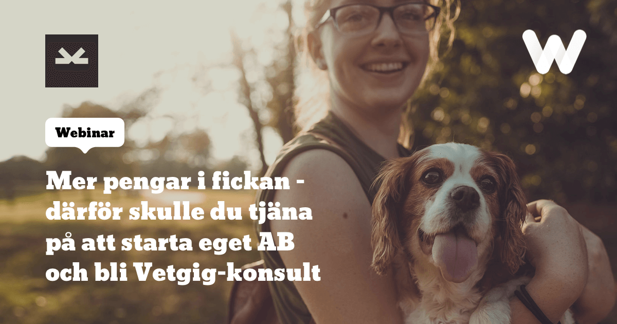 Mer pengar i fickan – därför skulle du tjäna på att starta eget AB och bli Vetgig-konsult