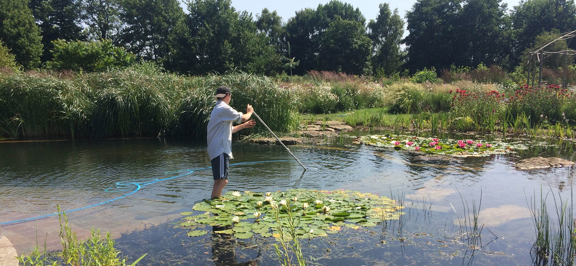 Natural Pool Design