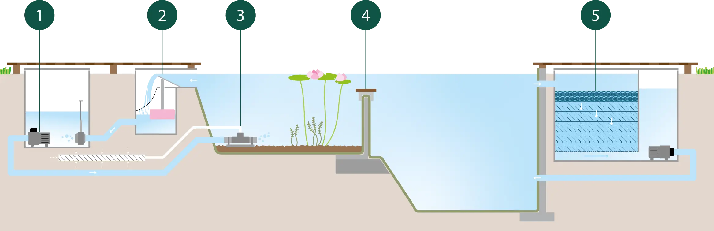 Natural Swimming Pools | Ellicar Pools