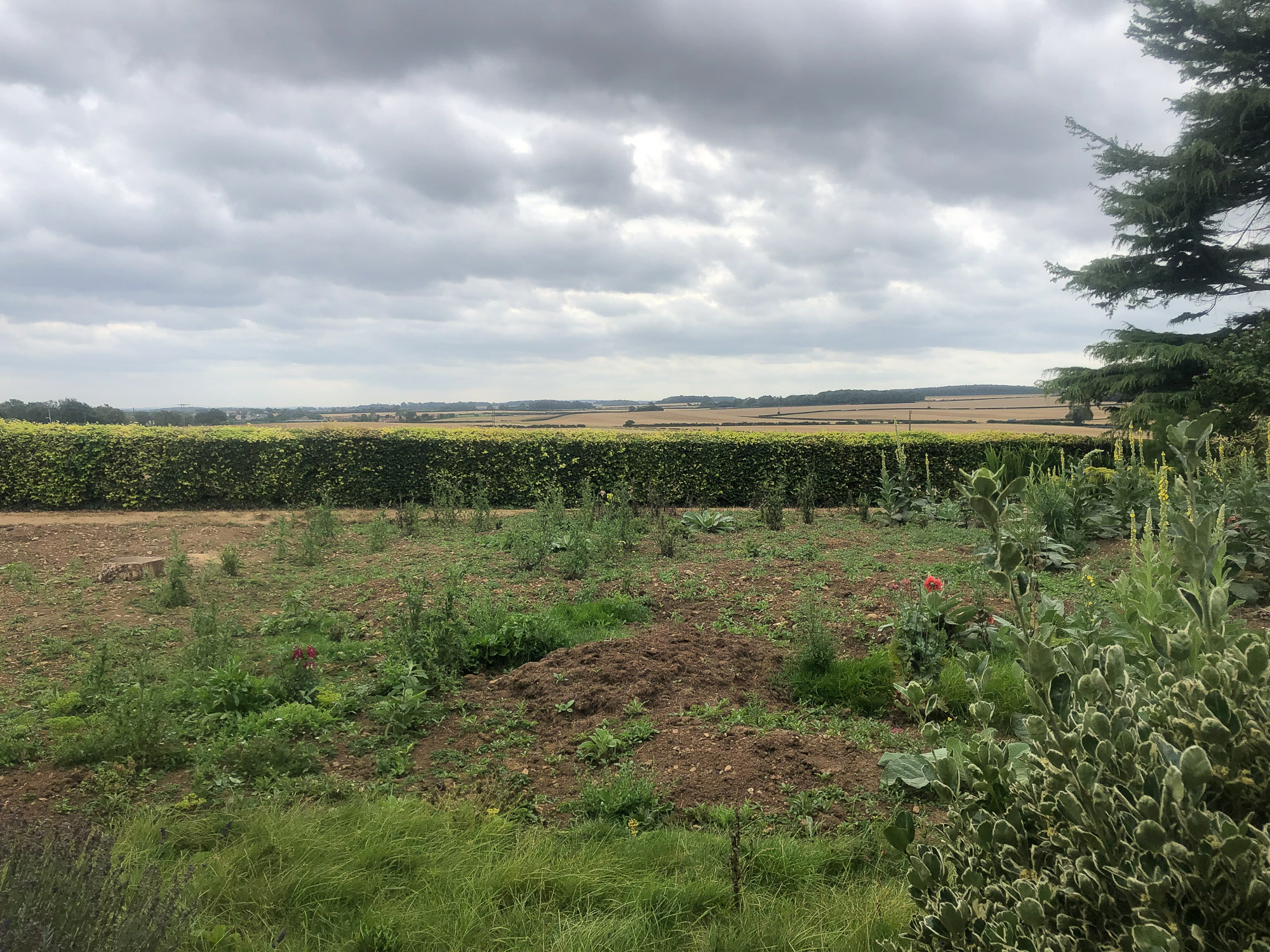 Ellicar Project Gallery | Letwell