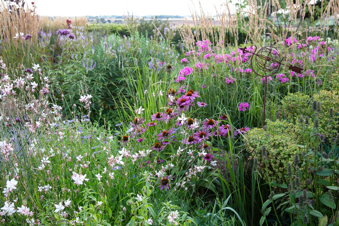 Ellicar Project Gallery | Letwell