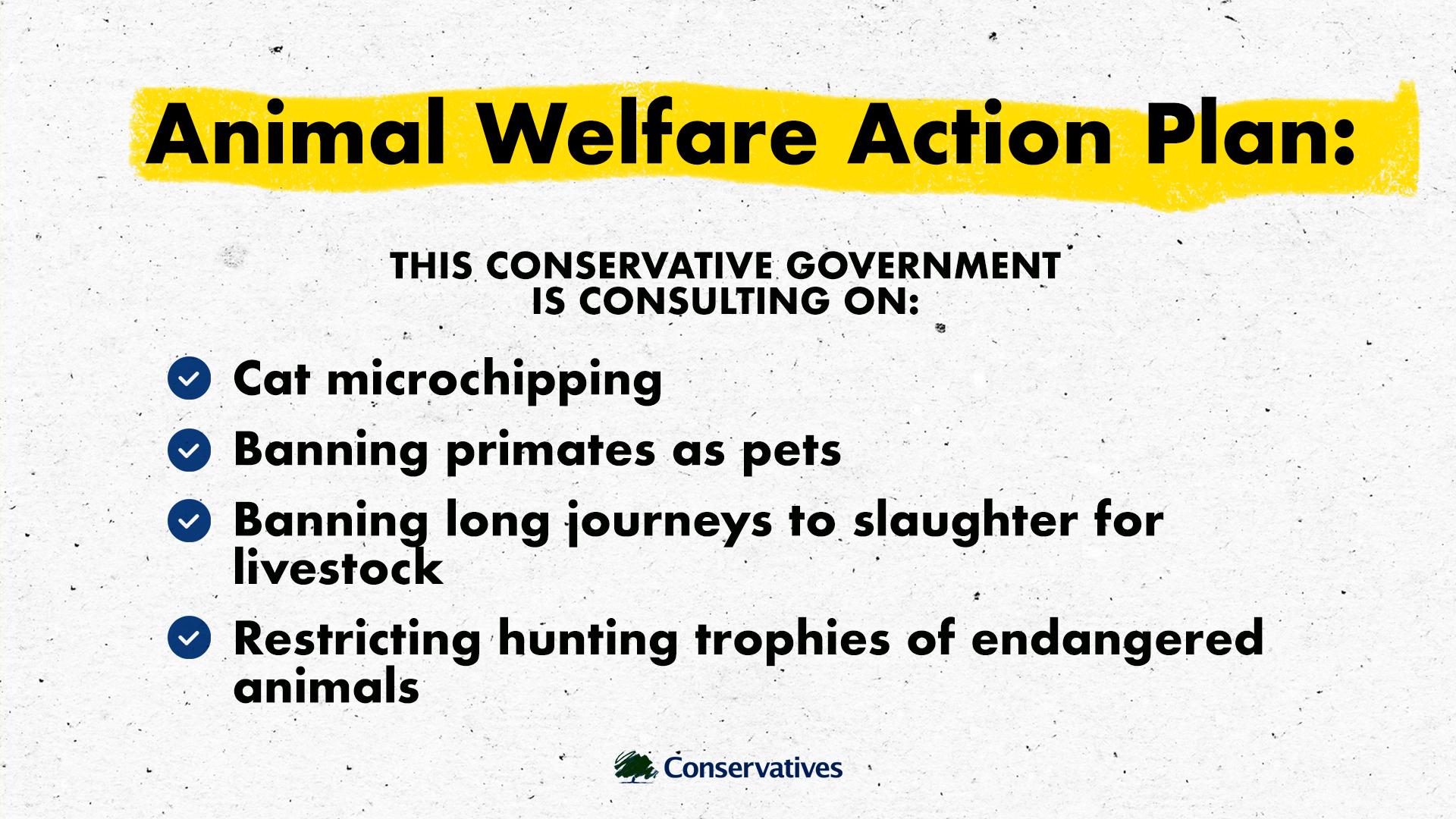 Why Are Animal Rights Important To Agriculture at Antonio Christie blog