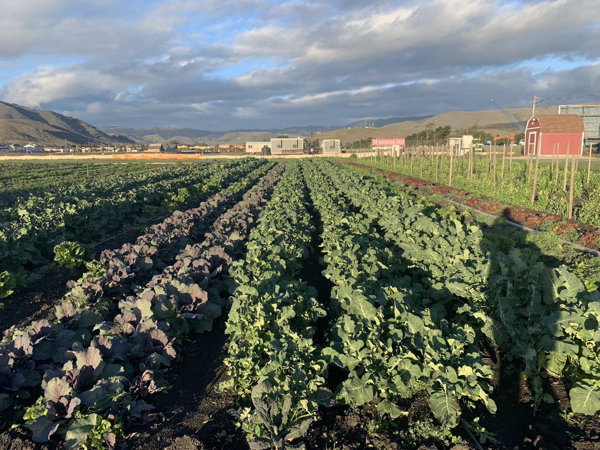 Farms and Vendors | Gather Natural Market
