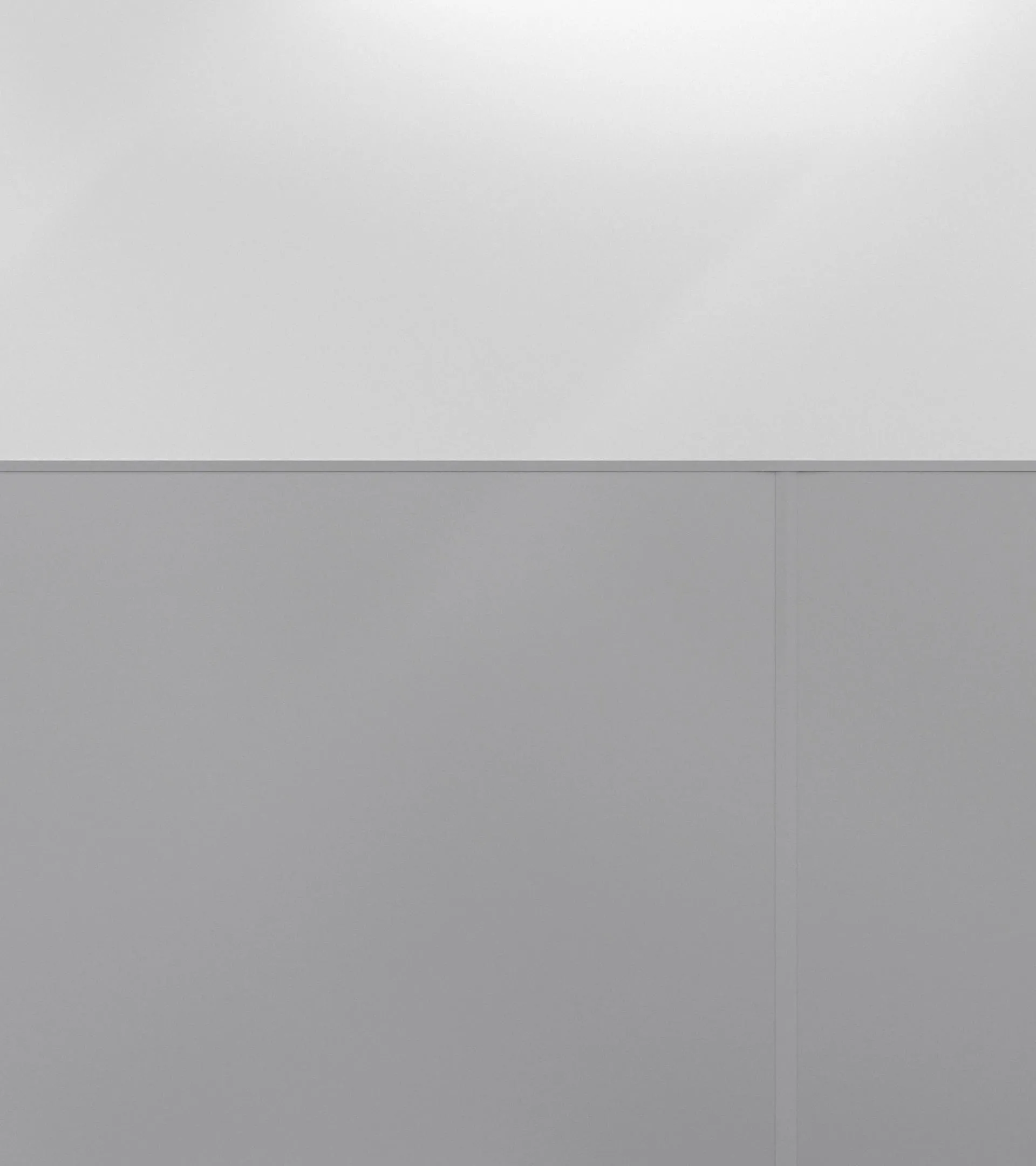 Wallprotex – Wall Protection Designer and Manufacturer