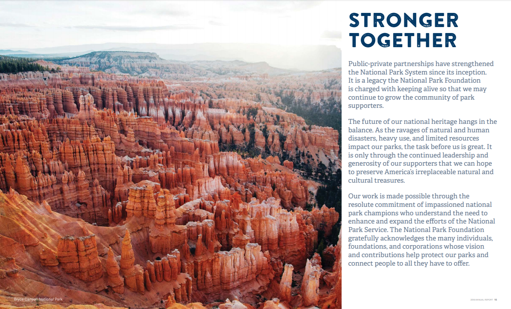 18 Best Nonprofit Annual Reports | Digital & Small Examples