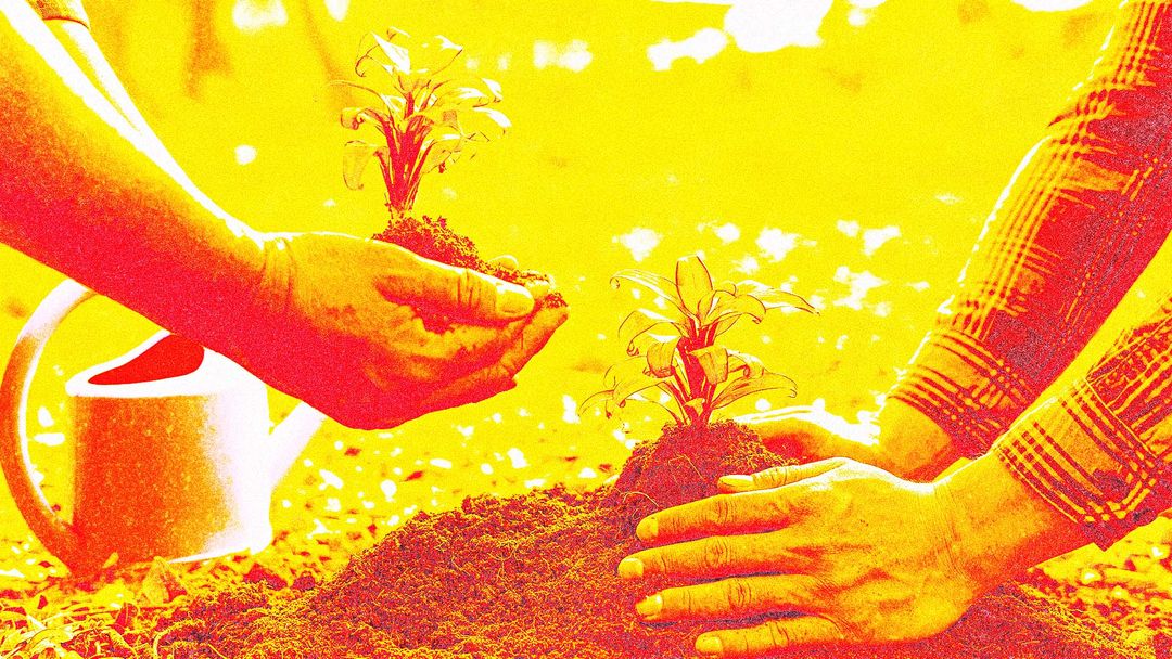 Honorable Harvest Fundraising: Lessons in Mindfulness and Sustainability