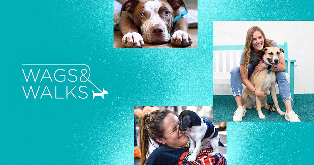 Wags and Walks Saves Lives and Breaks Records with Funraise