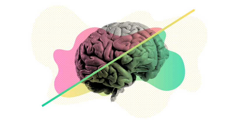 Introducing the Knowledge Network | Guru