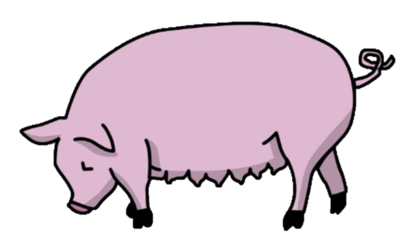 Pignet - Research - CMKL University │ Thailand