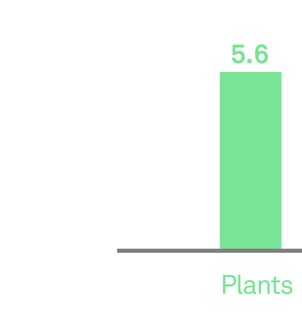 Biophilia Effect - Coglode