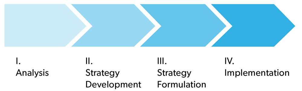Strategy Development | Evolutionizer Enterprise Strategy Suite