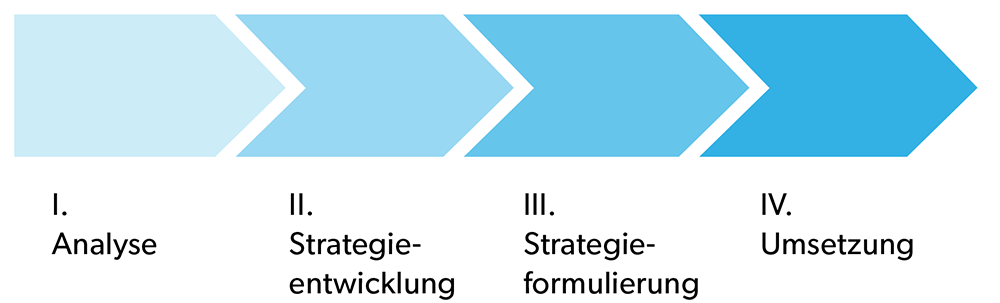 Strategy Development | Evolutionizer Enterprise Strategy Suite