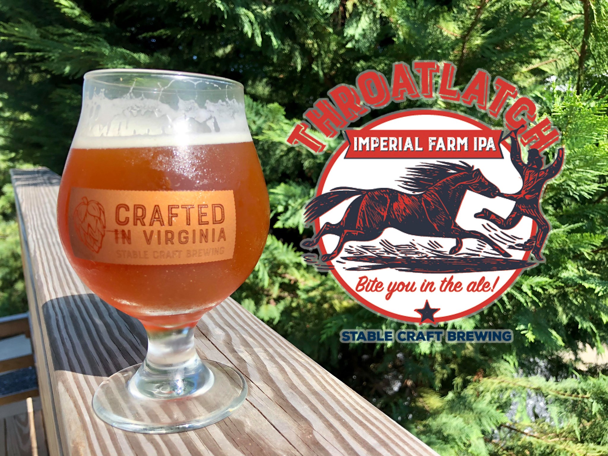 Deep Dive into IPAs