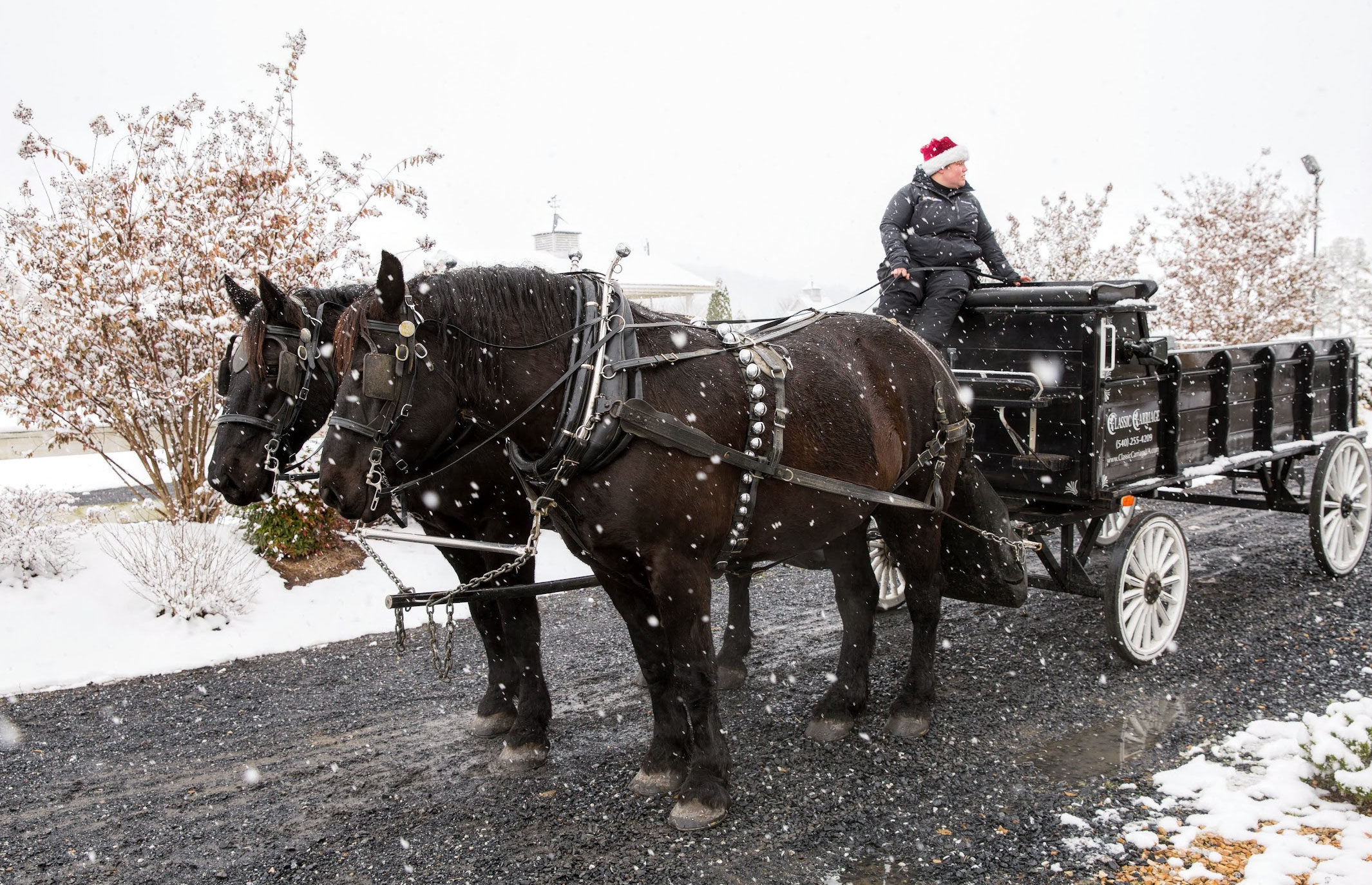 Unleash the Festive Spirit: Top 5 Holiday Activities at Stable Craft ...