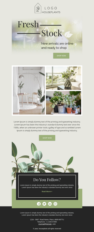 House plants Email Template | Unlayer