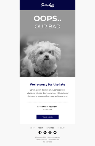 Delay In Order Delivery Email Template | Unlayer