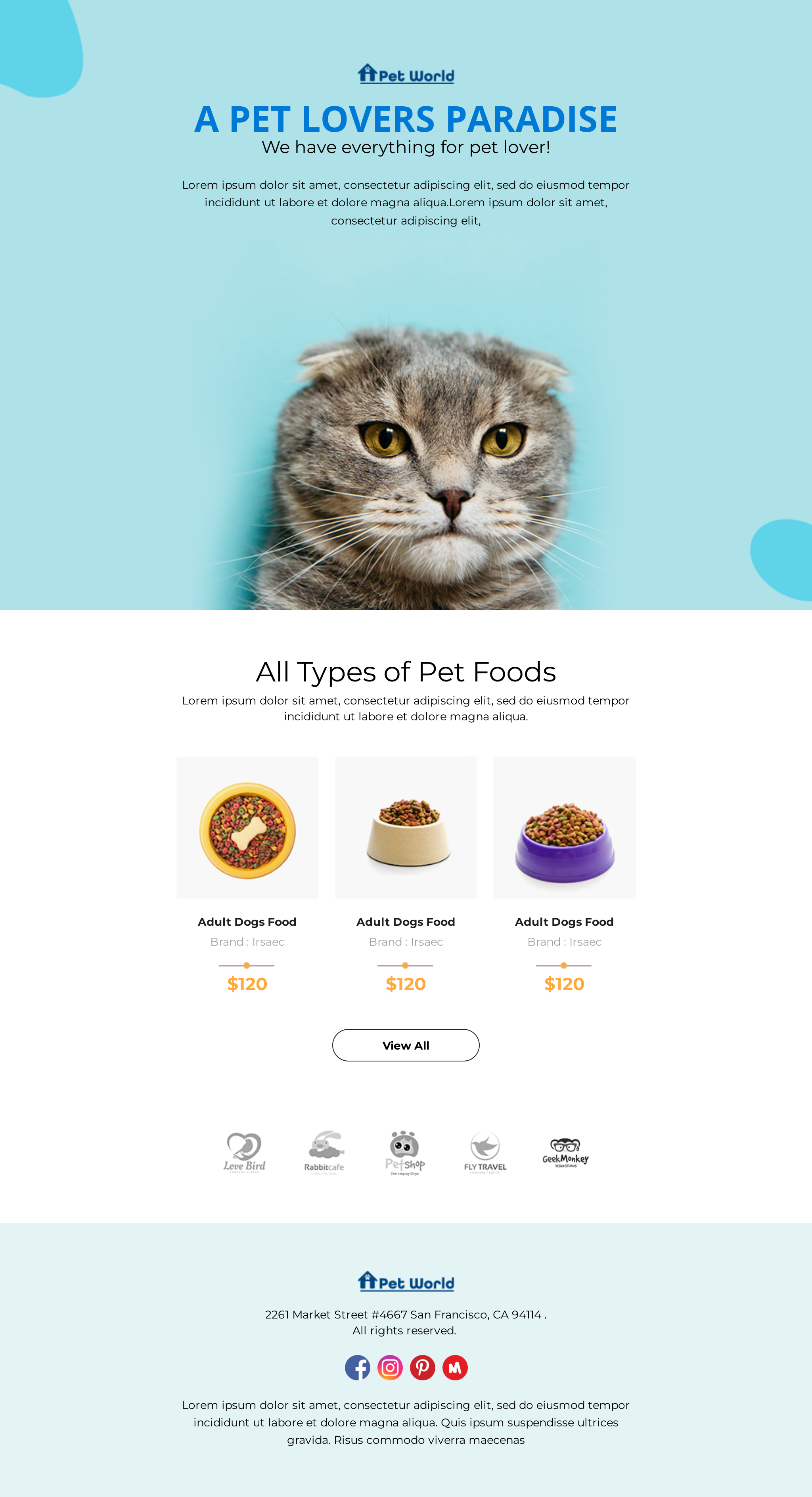 Happy Animals Email Template | Unlayer