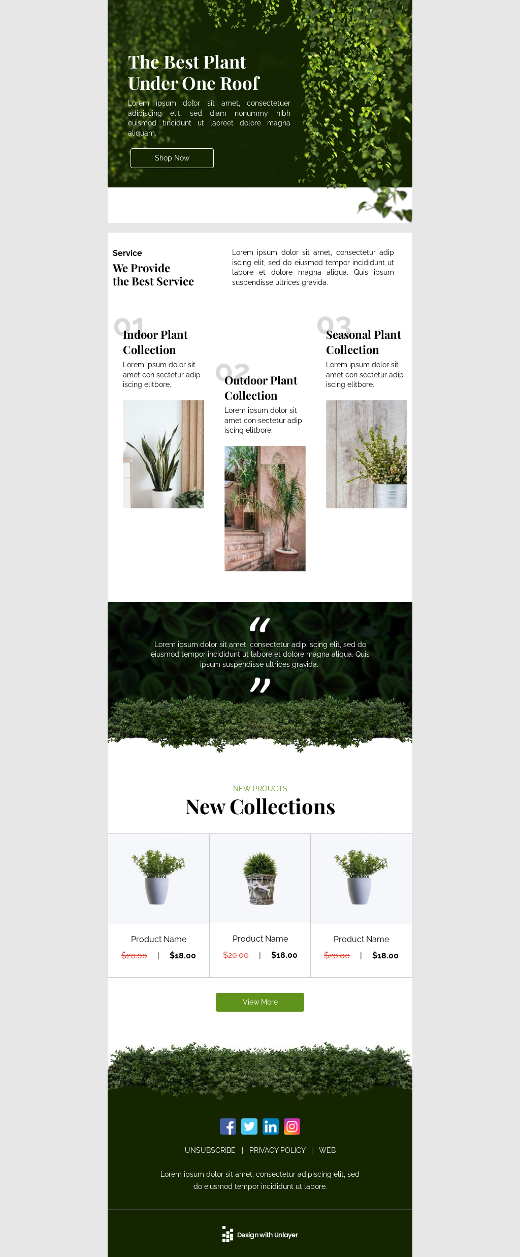 Plant Collections Email Template | Unlayer