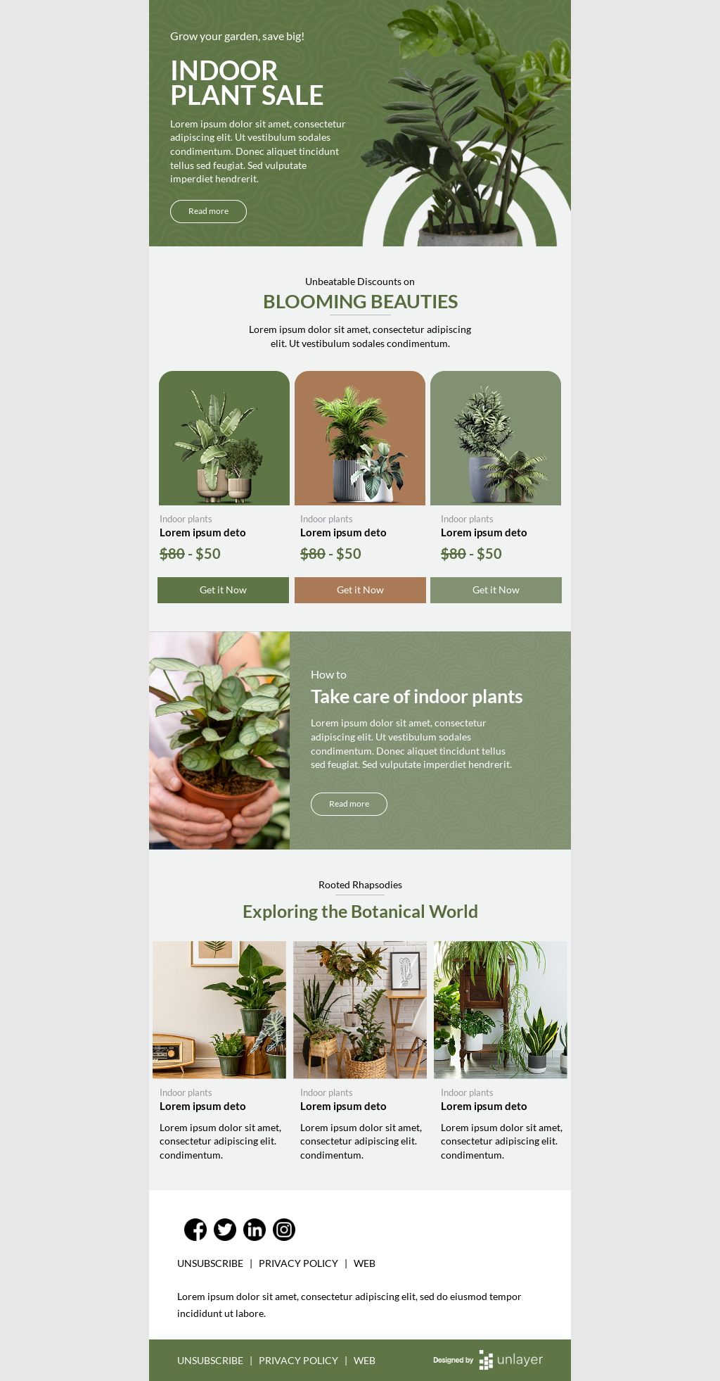 Indoor Plant Sale Email Template | Unlayer